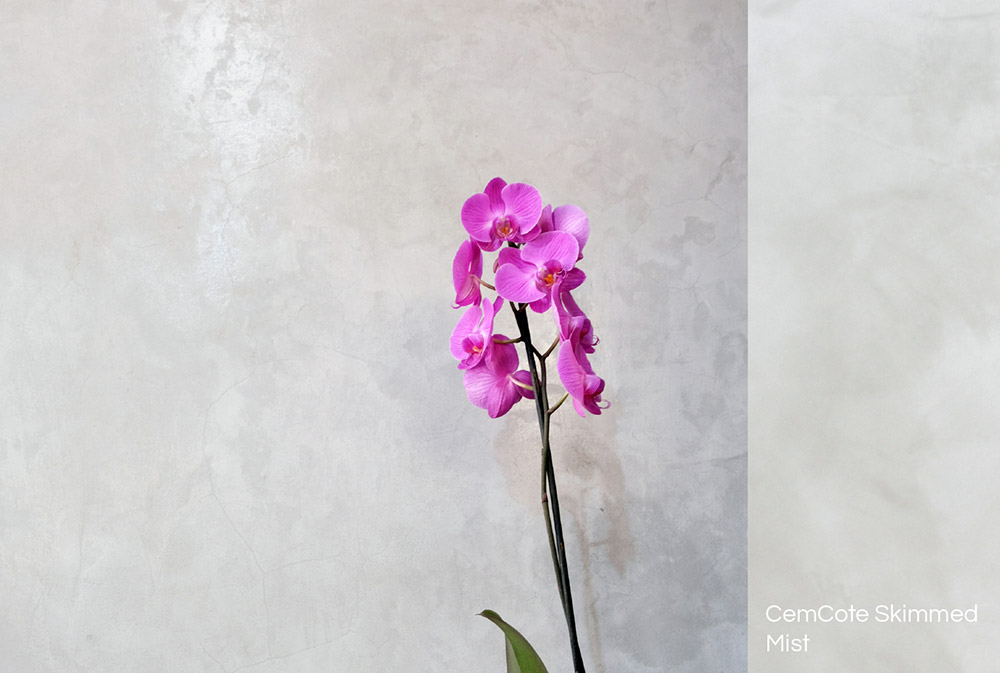 5 Must Have Neutrals | Cemcrete - CemCote Wall Coatings - Colours